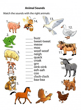 Class 3 English Grammar Syllabus Unit 12: Animal sounds - Vrindawan ...